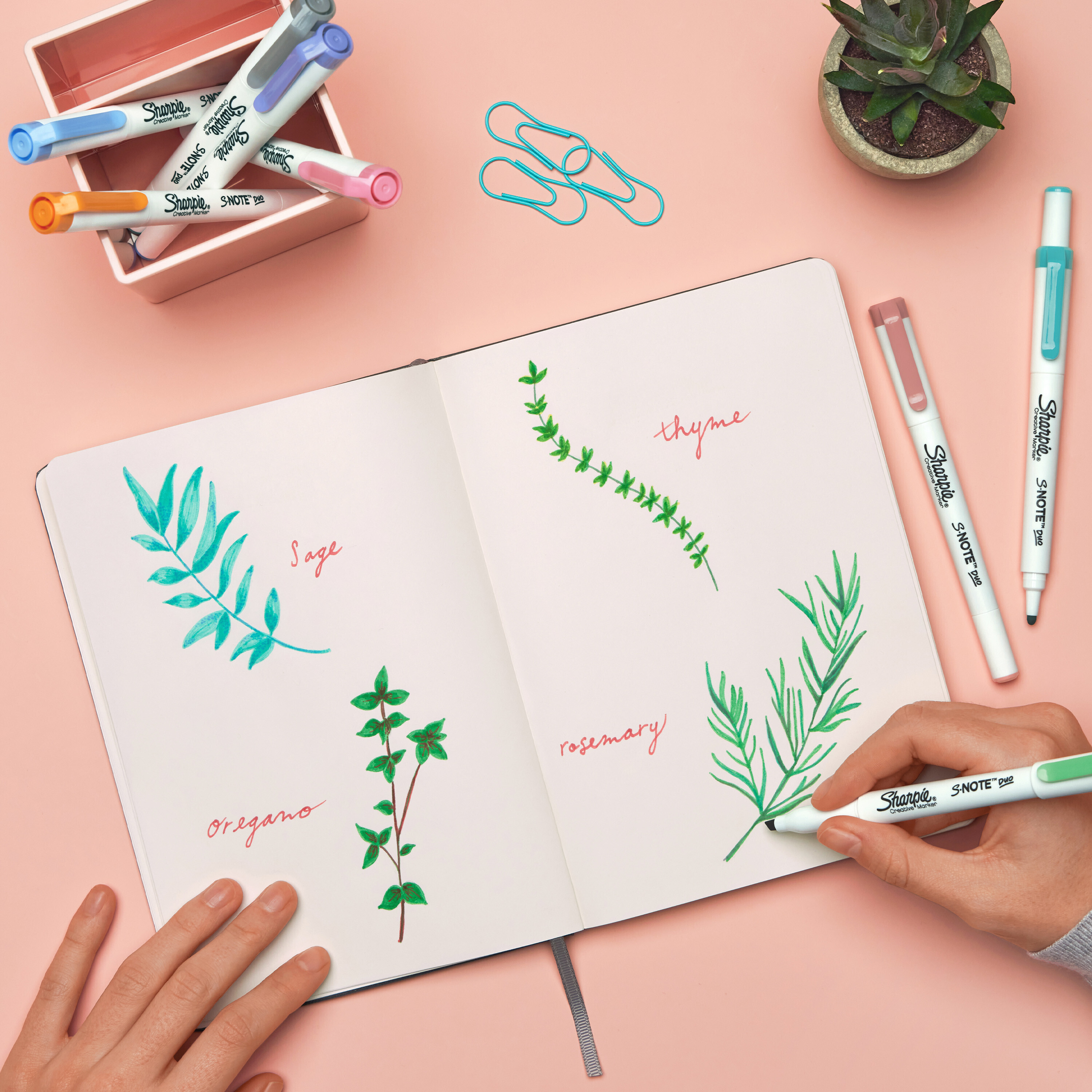 Sharpie S-Note Duo -kaksikärkinen tussi, 8 väriä – Verkkokauppa.com