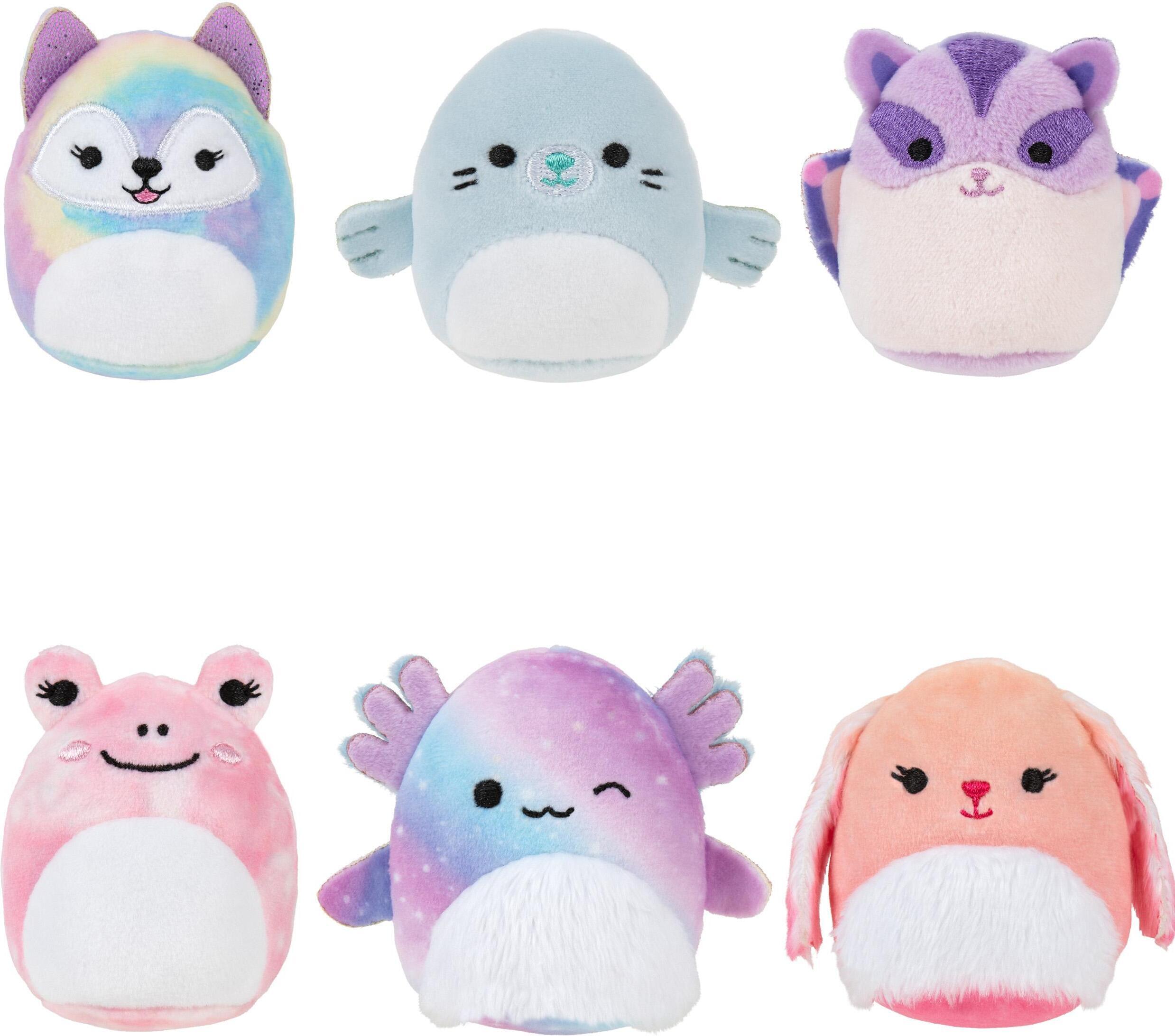 Squishmallows Squishville Fall 22 -hahmopakkaus, 6 hahmoa ...