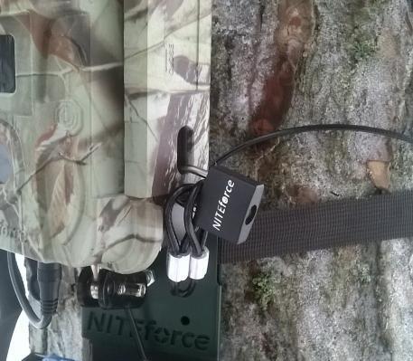 NITEforce Trail Camera Locking Cable -riistakameralukko, 145 cm ...