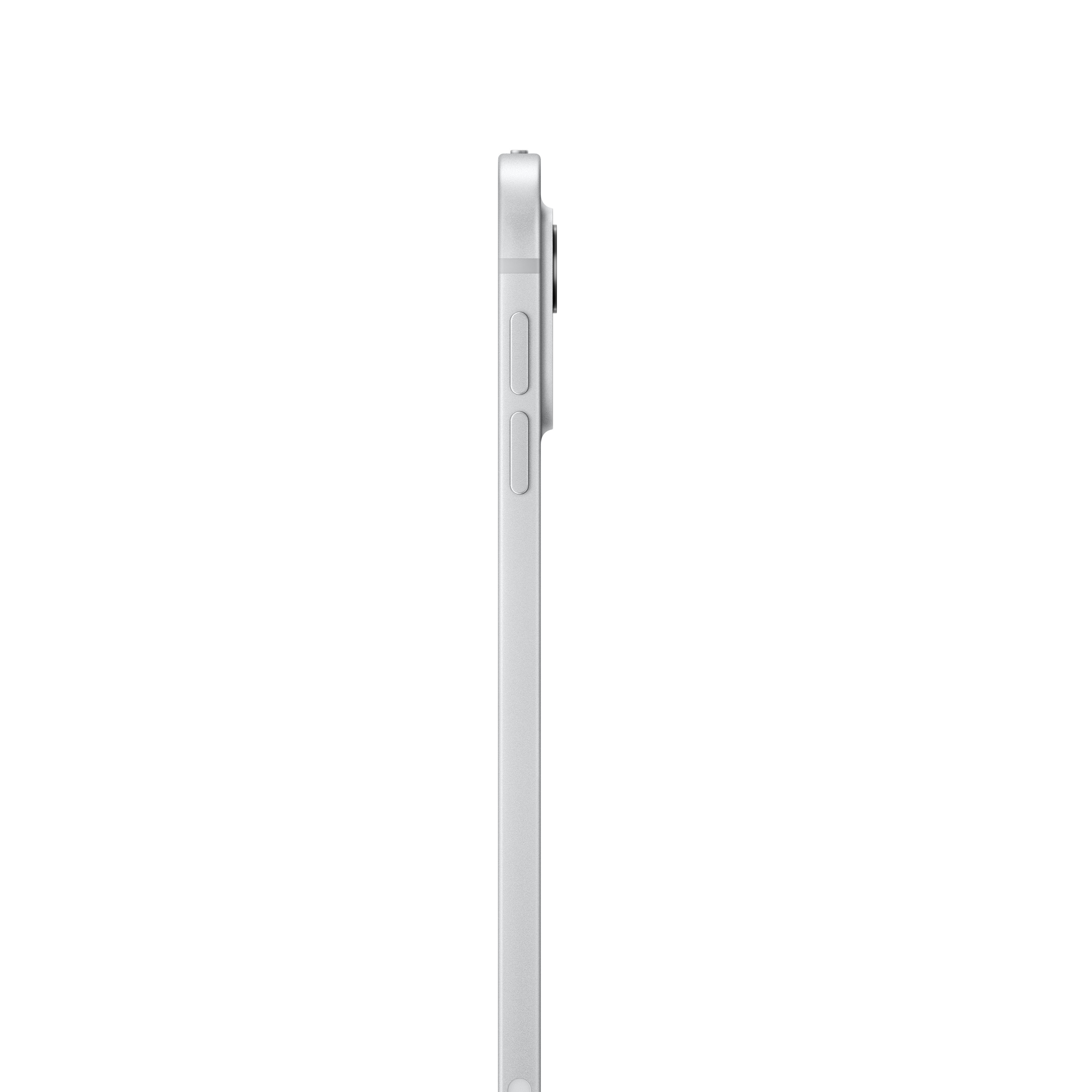 Tuotteen Apple iPad Pro 11" M4 2 Tt WiFi + 5G 2024, hopea (MVW83 ...